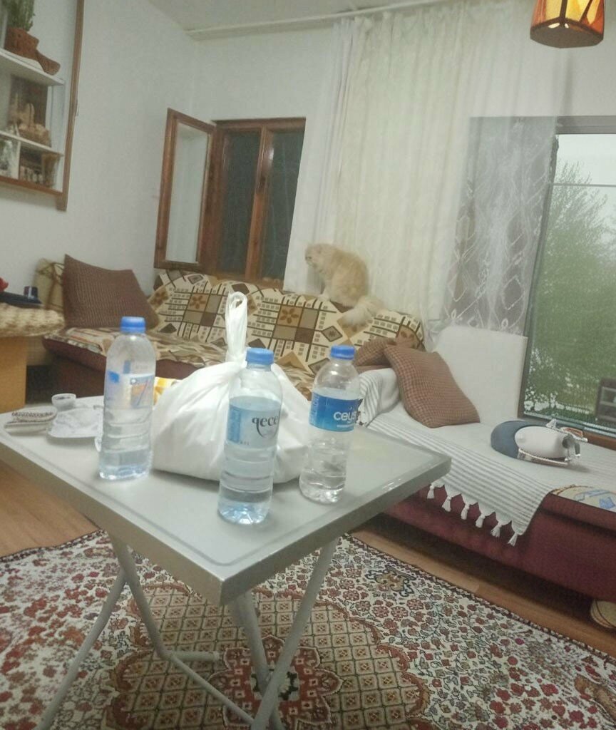 Muhtarlıklar Bulgurcu Köy Muhtarlığı, Şabanözü, foto