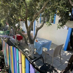 Ali Baba Dondurma Kafe (Kırklareli, Vize, Mehmet Akif Mah., Acı Çeşme Cad., 27/1), kafe  Vize'den