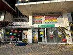 Özel Bilişsel Gelişim Özel Eğitim ve Rehabilitasyon Merkezi (İstanbul, Avcılar, Gümüşpala Mah., Papatya Sok., 10A), eğitim merkezleri  İstanbul'dan