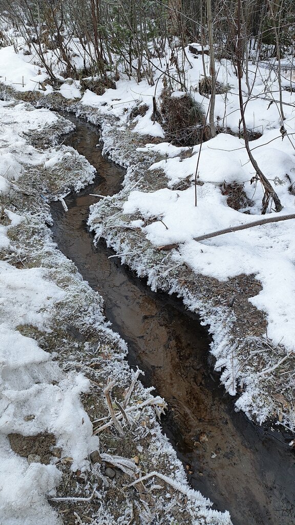 Pınar, çay Spring, stream, Perm, foto