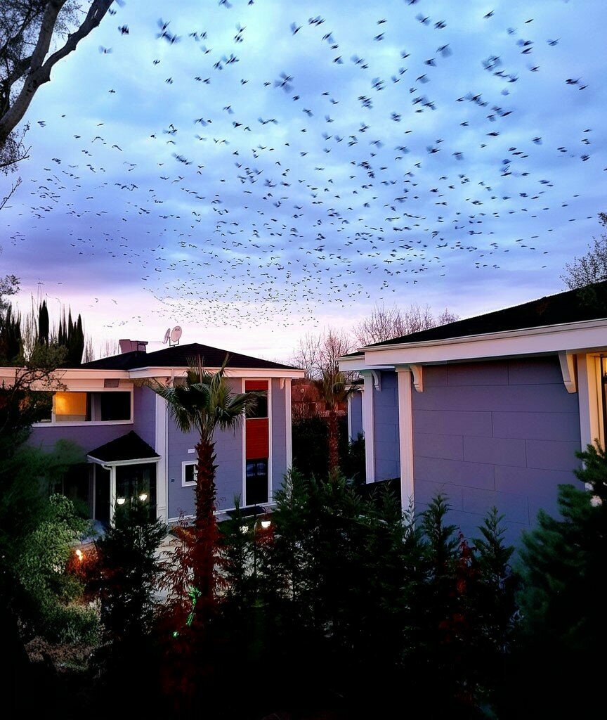 Otel Palm Resort - Efendioğlu Inşaat, Sapanca, foto