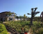 Zirve Peyzaj (Antalya, Serik, Yukarıkocayatak Mah.), bahçecilik mağazaları  Serik'ten