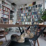Fısıltı Kitap Evi (Mersin, Erdemli, Merkez Mah., Sabahattin Çakmakoğlu Cad., 6A), ucuzluk mağazası  Erdemli'den