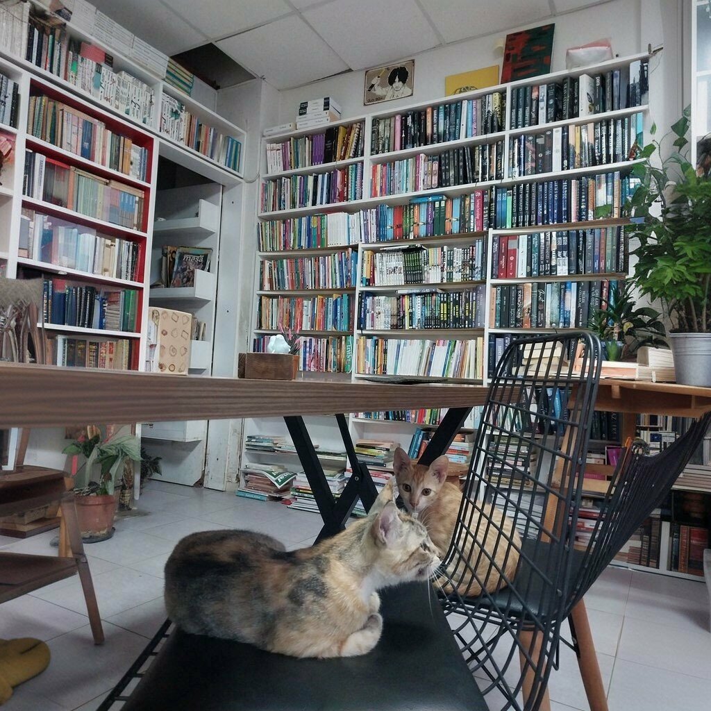 Ucuzluk mağazası Fısıltı Kitap Evi, Erdemli, foto