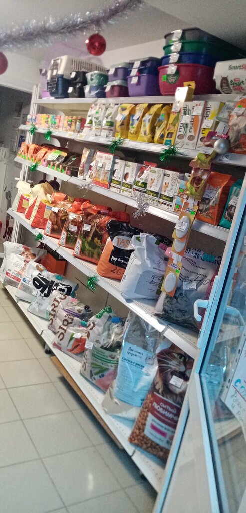 Petshop ЁшкинКот, Pyatigorsk, foto