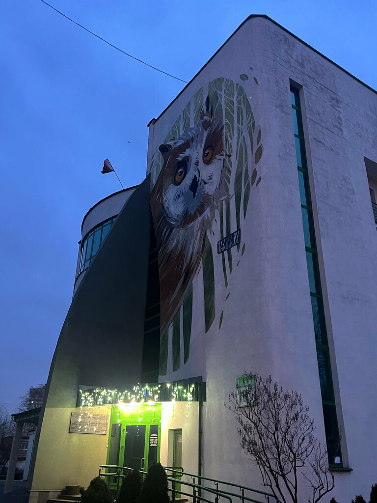 Sokak sanatı Мурал Ушастая сова, Minsk, foto