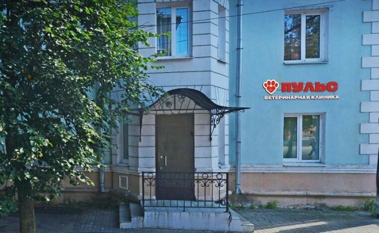 Veteriner klinikleri Пульс, Rybinsk, foto