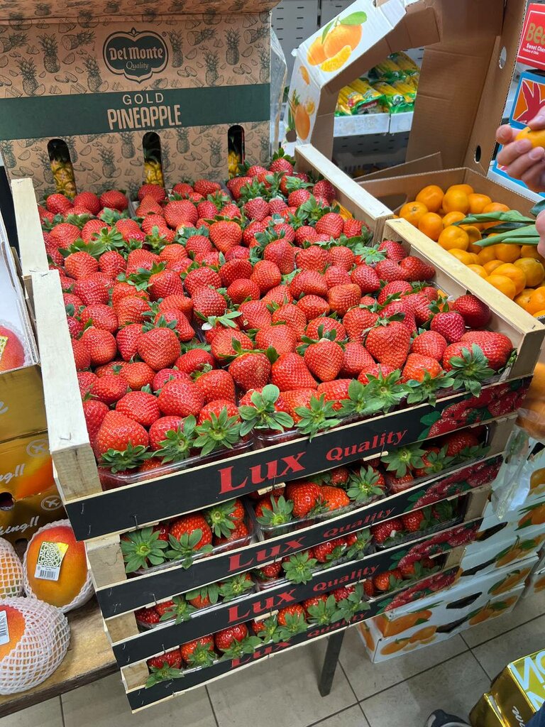 Manavlar Fruktalmet, Almetyevsk (Elmet), foto