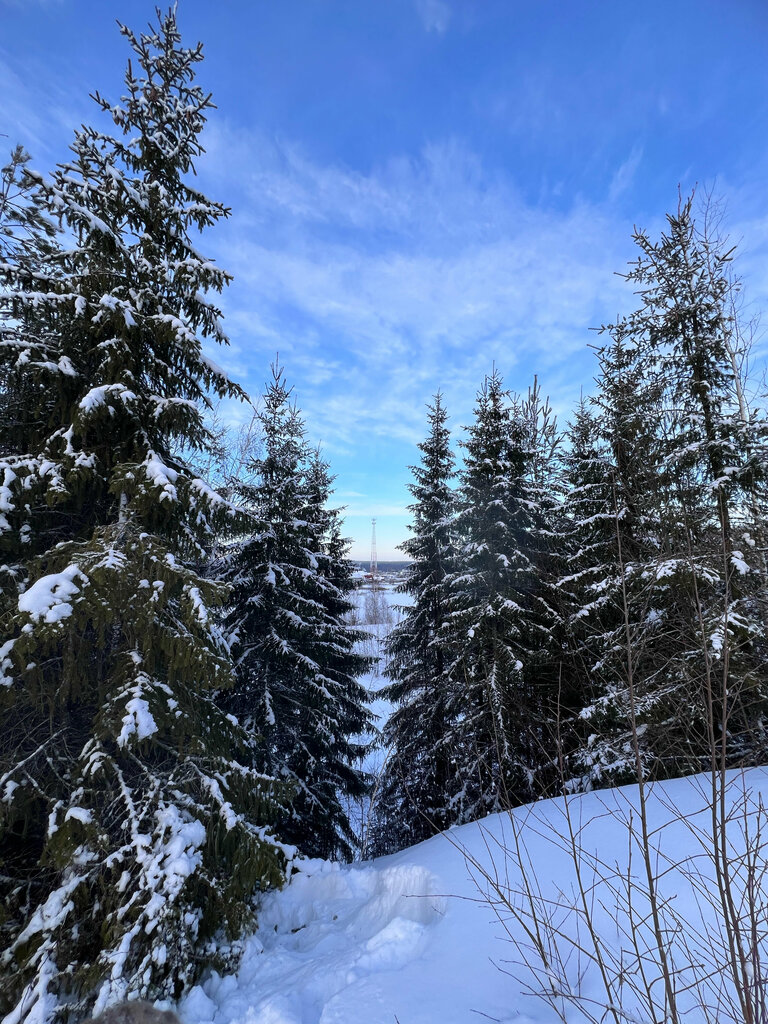 Unutulmaz olayların yeri Шахтерские горы, Çuvaşya, foto