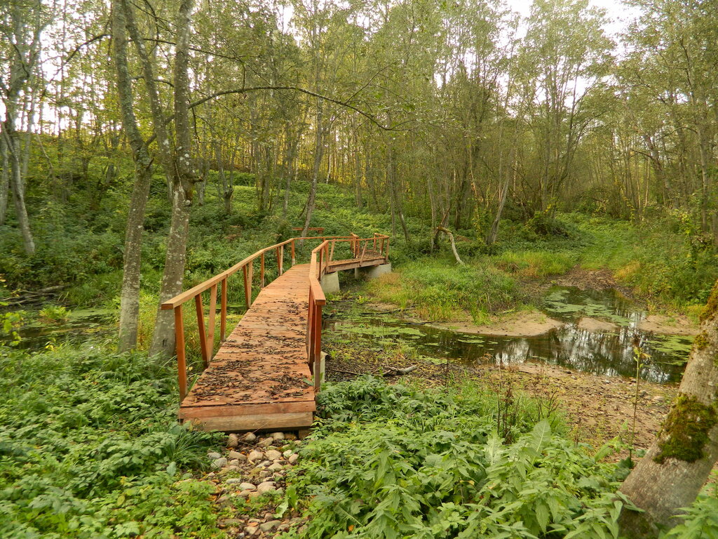 Ünlü kişilerin mezarları Могила великана Фёдора Махнова, Vitebskaya oblastı, foto