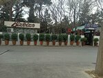 Biz Bizə (Musa Aliyev Street No:18), restoran  Bakü'den