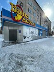 Your Furniture (Pavlov kóshesi No:9), mobilya mağazaları  Pavlodar'dan