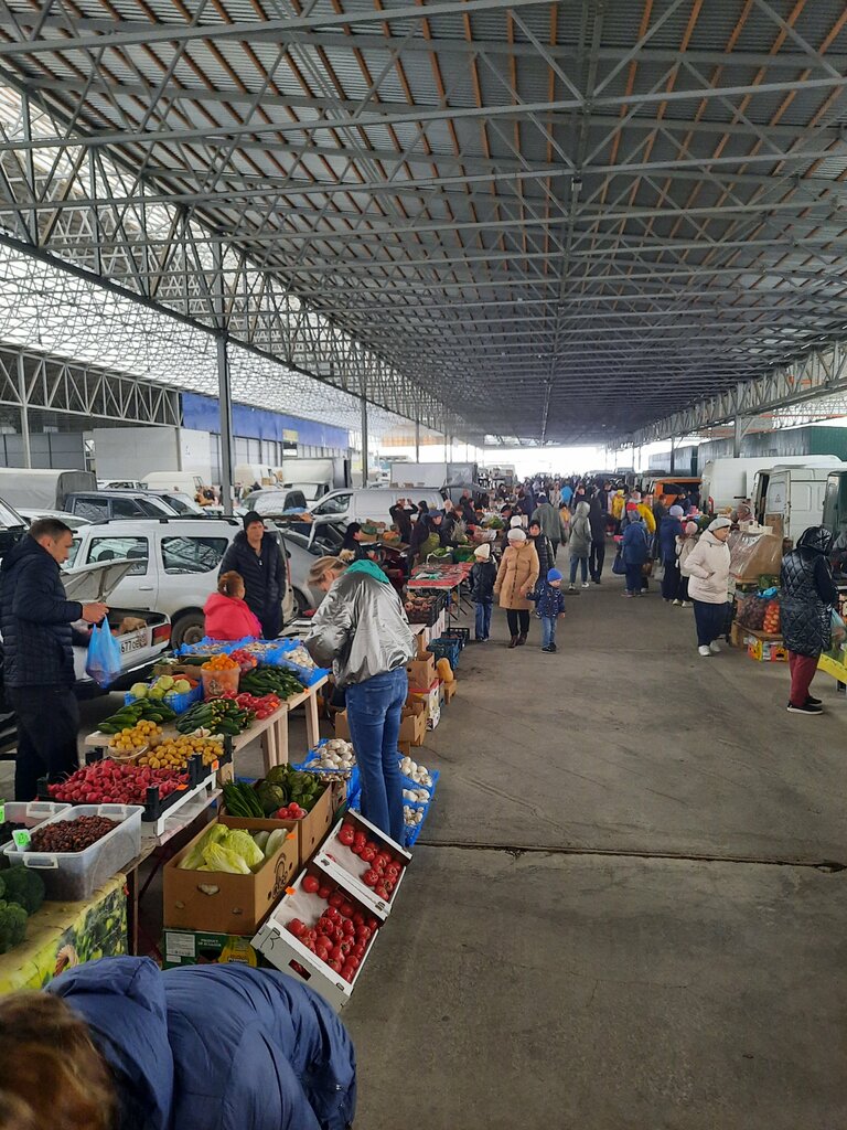 Pazarlar ve çarşılar Ярмарка рассады и горшечных растений, Krasnodar, foto