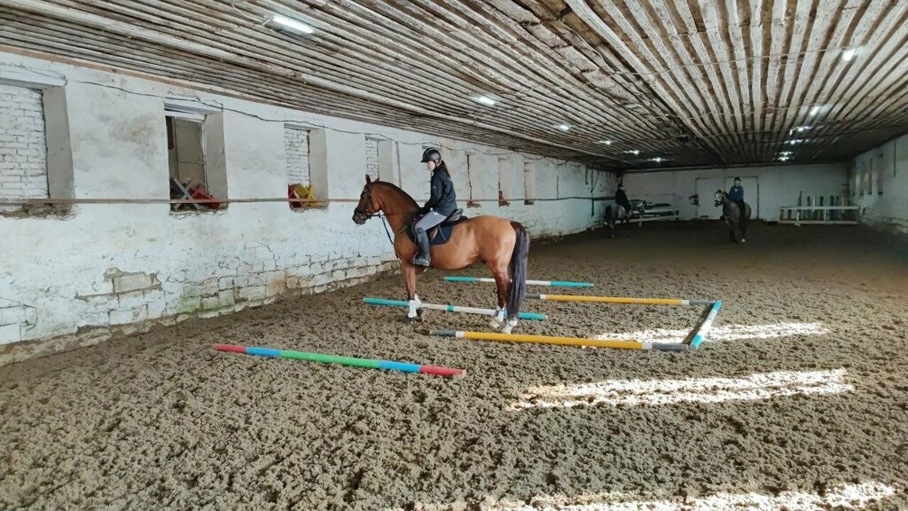 At ve binicilik kulüpleri Руби Санрайс, Moskova ve Moskovskaya oblastı, foto