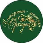 Orchids internet shop (Ótegen batyr kóshesi No:11А), çiçekçiler  Almatı'dan