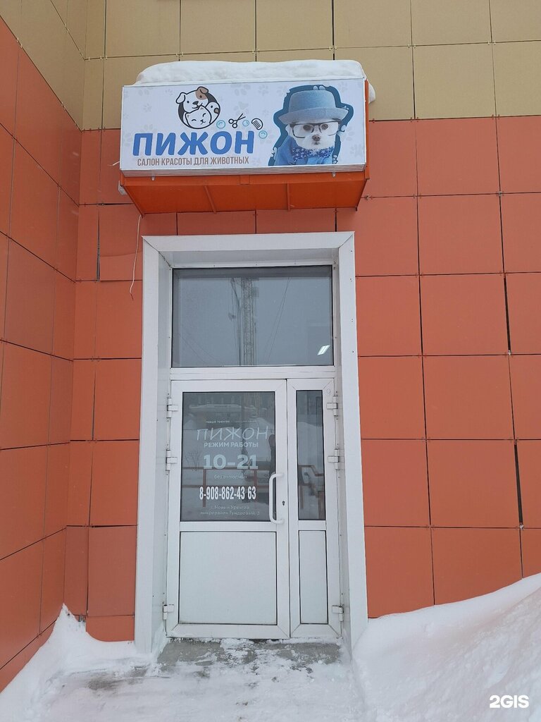 Evcil hayvan kuaförleri Пижон, Novy Urengoy, foto