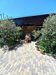Отдых у Андрея (ulitsa Bekhtereva No:11), otel  Soçi'den