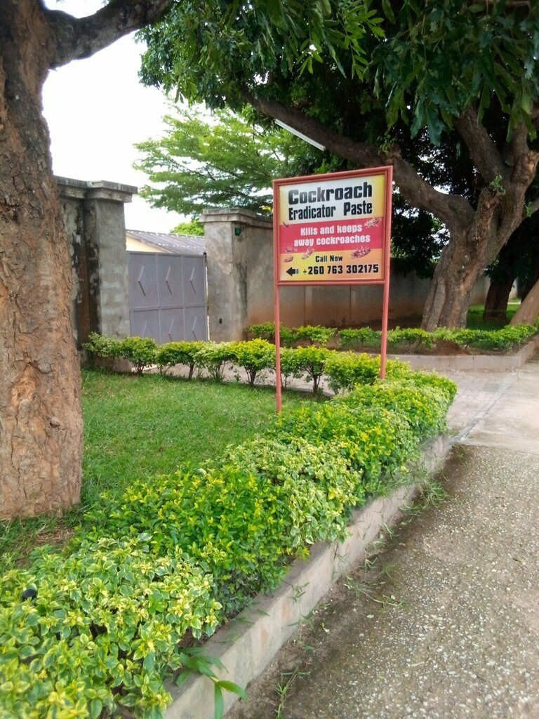 Ev temizlik ürünleri Cockroach Eradicator Paste, Lusaka, foto