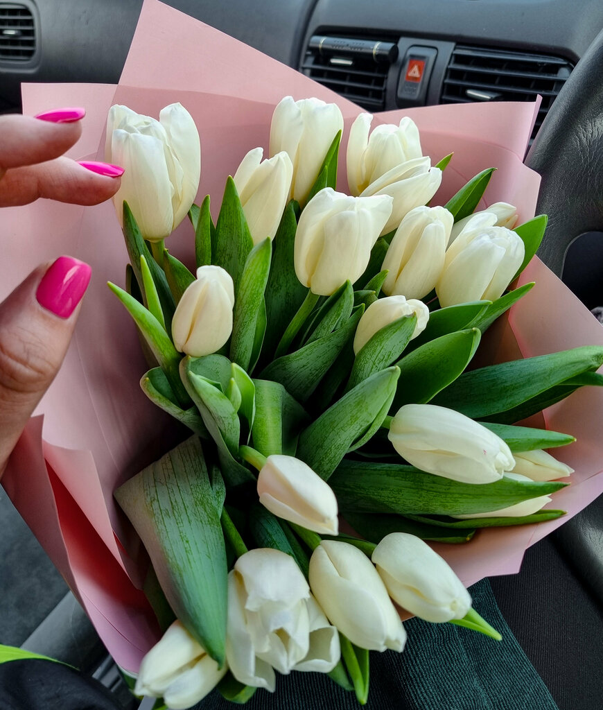 Çiçekçiler Flo. Rista, Karabaş, foto