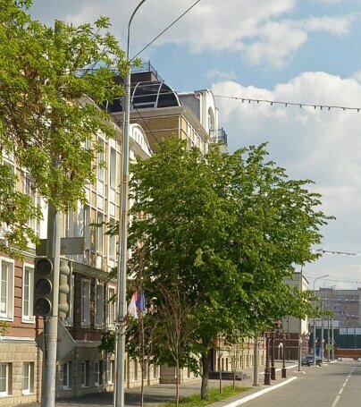 Turistik yerler Дом И.П. Вишнякова, начало XX века, Orenburg, foto