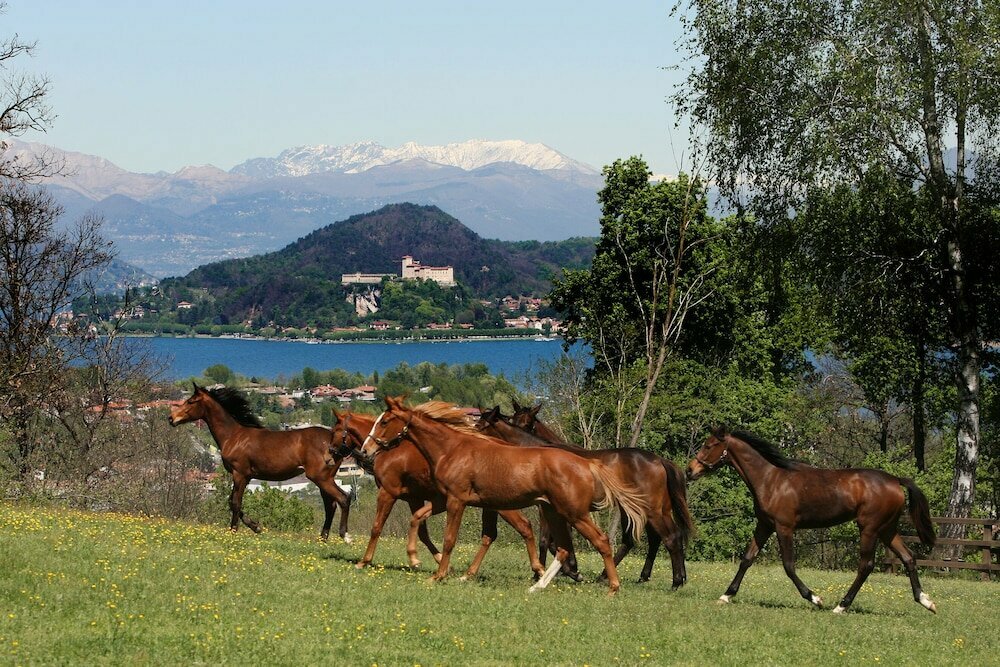 Otel La Cucchetta, Piyemonte, foto