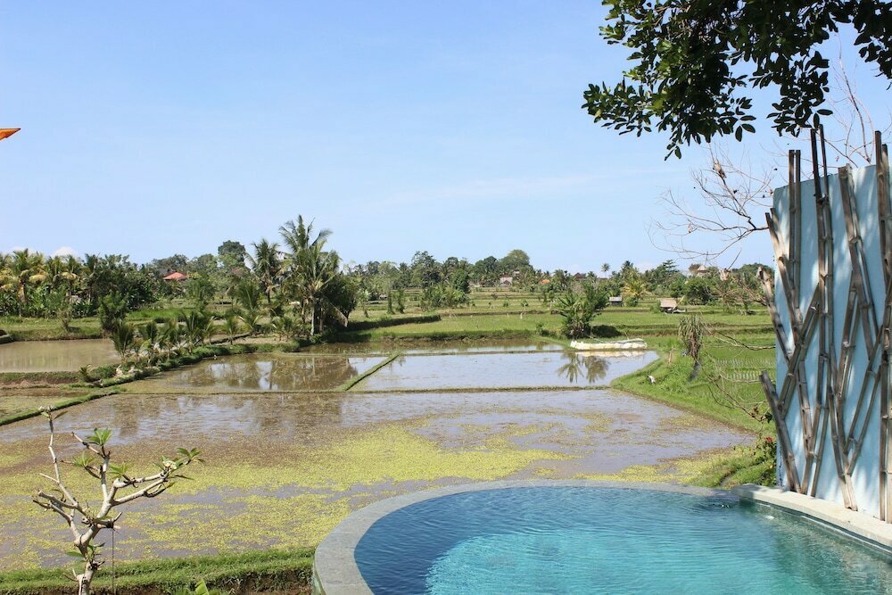 Otel Ubud Padi Villas, Bali, foto