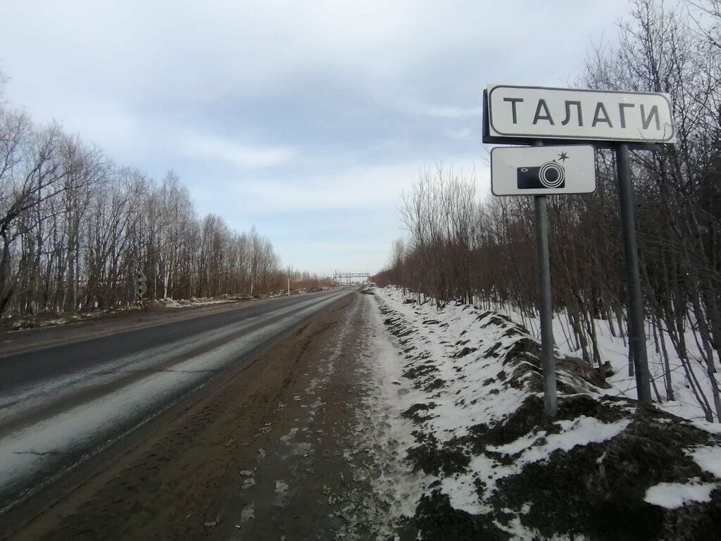 Orman Талажский сосновый бор, Arhangelskaya oblastı, foto