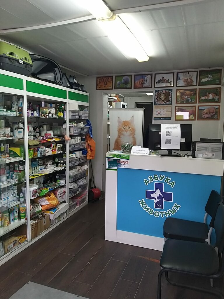 Veteriner klinikleri VetViZov, Klin, foto