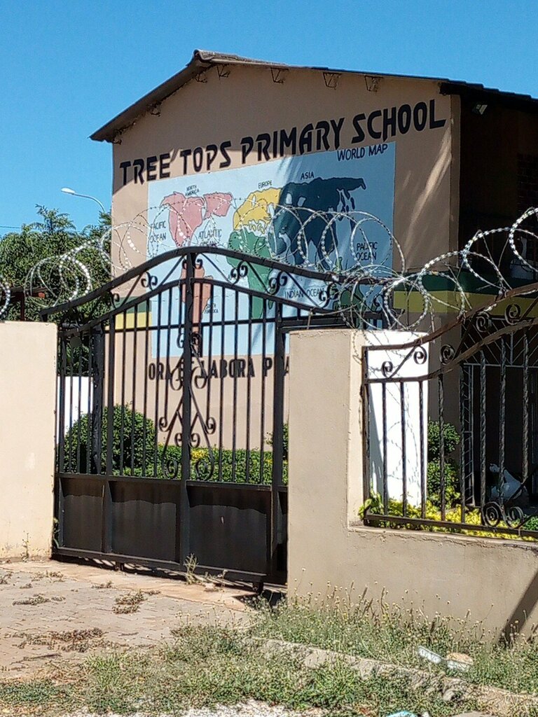 i̇lkokul Tree Tops Primary School, Lusaka, foto