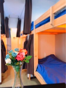 Horse Hotel (Tokyo Metropolis, Special Ward Taito, 西浅草, 西浅草二丁目), otel  Tokyo'dan