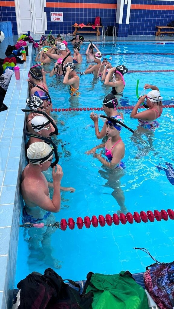 Spor okulları Swimtoday, Novosibirsk, foto