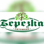 Берёзка (Ландшафтный проезд No:1, Набережные Челны), sera ve bahçe ürünleri  Tataristan'dan