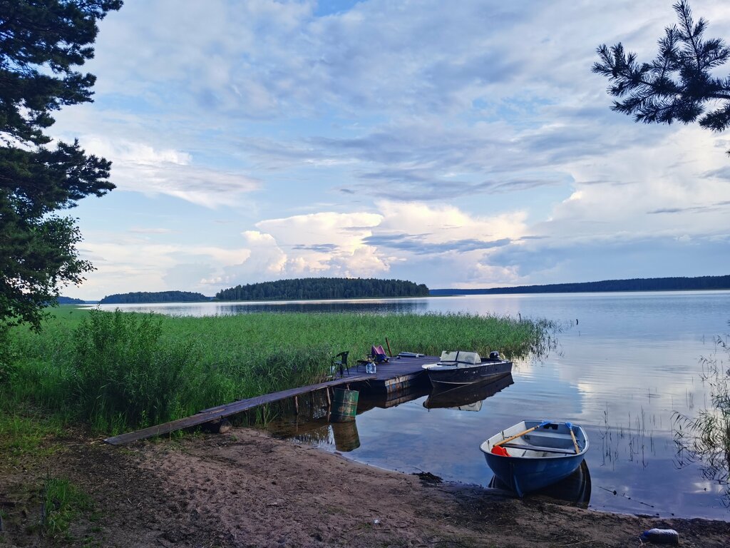 Kamp alanları Кемпинг на Кошелеве, Tverskaya oblastı, foto