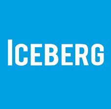 Kuru temizlemeciler Iceberg, Sverdlovskaya oblastı, foto