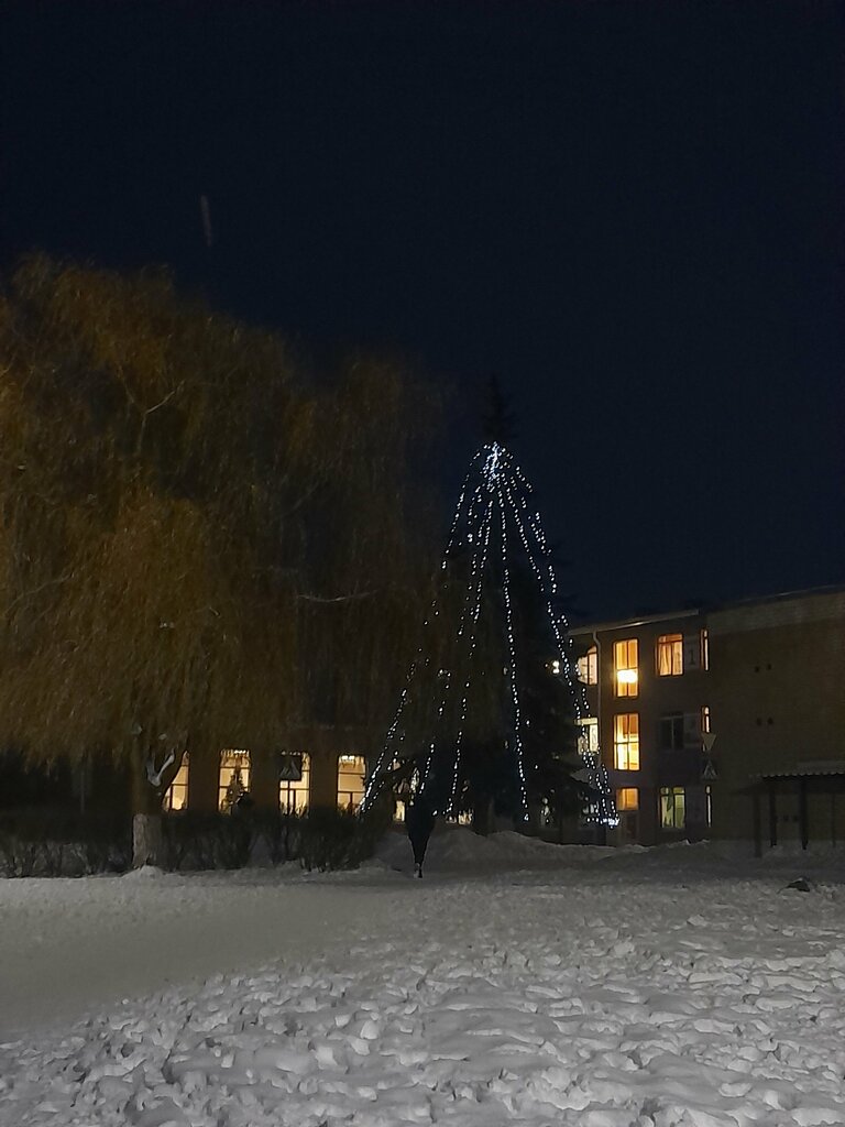 Ortaokul Браславская средняя школа № 1 имени А. М. Жданова, Braslav, foto