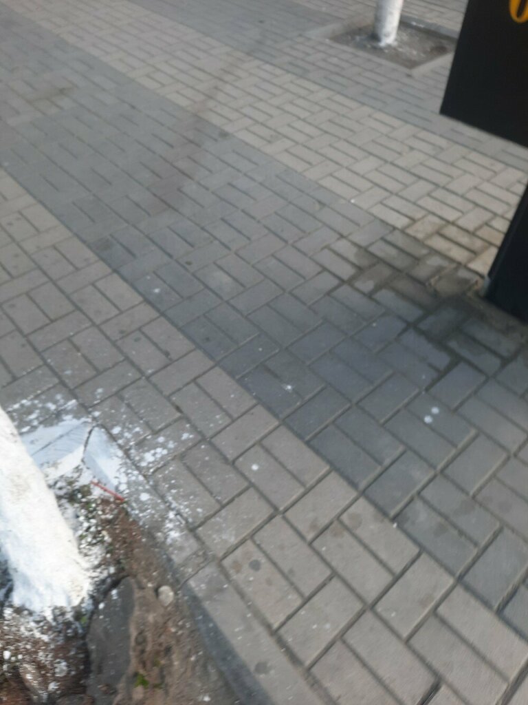 Fotoğraf hizmetleri Photo Studio Lider, Sumgayıt, foto