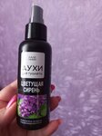 Wildberries (Molodyozhnaya ulitsa No:61Б), teslimat noktası  Sol‑İletsk'ten