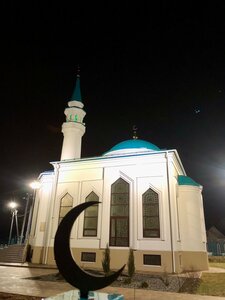 Мечеть (Republic of Tatarstan, Zelenodolskiy rayon, Osinovskoye selskoye poseleniye, selo Novaya Tura), cami  Tataristan'dan