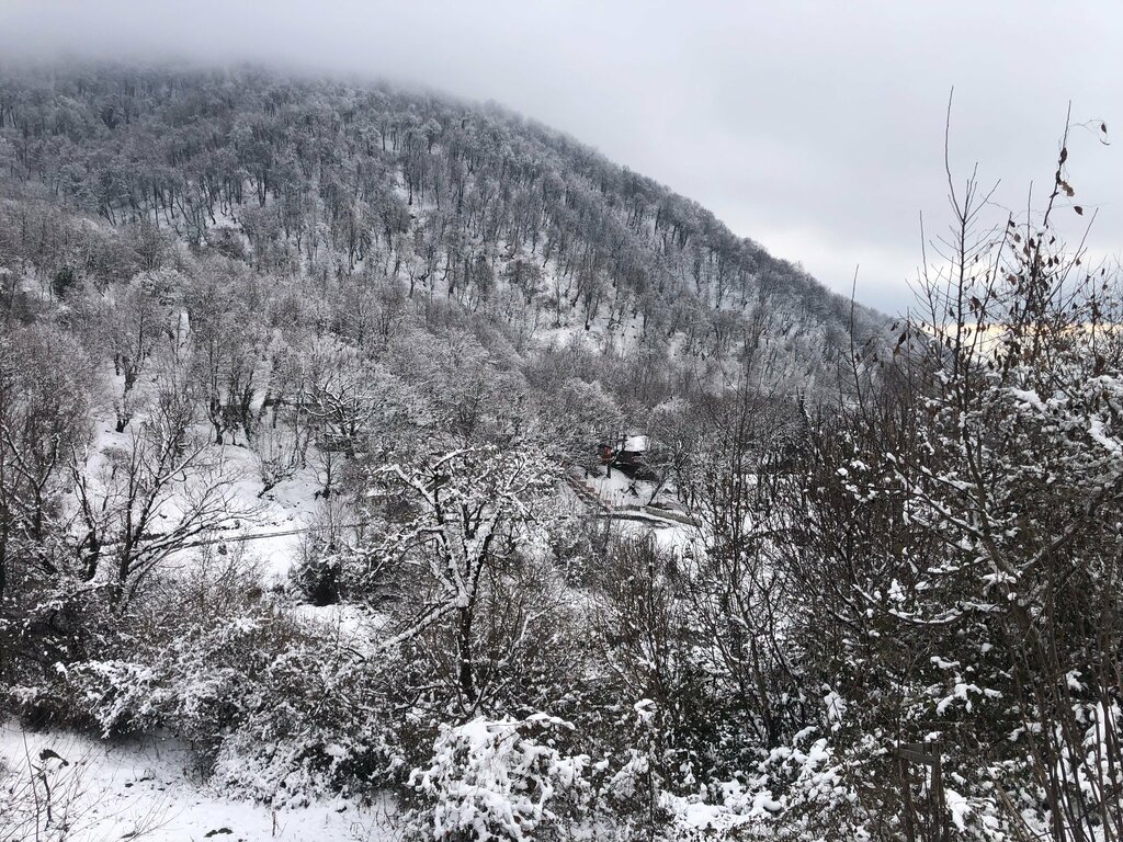 Restoran Daşlıq, Zakatala ilçesi, foto