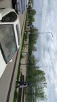 Skate Park (Táýelsіzdіgіne 10 jyl kóshesі No:58, Kaskelen), kaykay parkı  Kaskelen'den