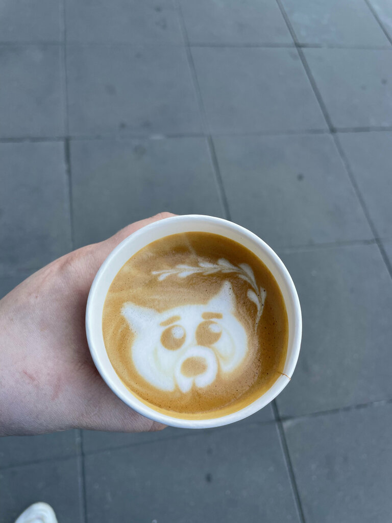 Kahve dükkanları Euphoria Coffee, Moskova, foto