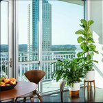 Aws Technology LLC (Al Muhairbi Building, Al Garhoud, Deira, Dubai), bilişim firmaları  Dubai'den
