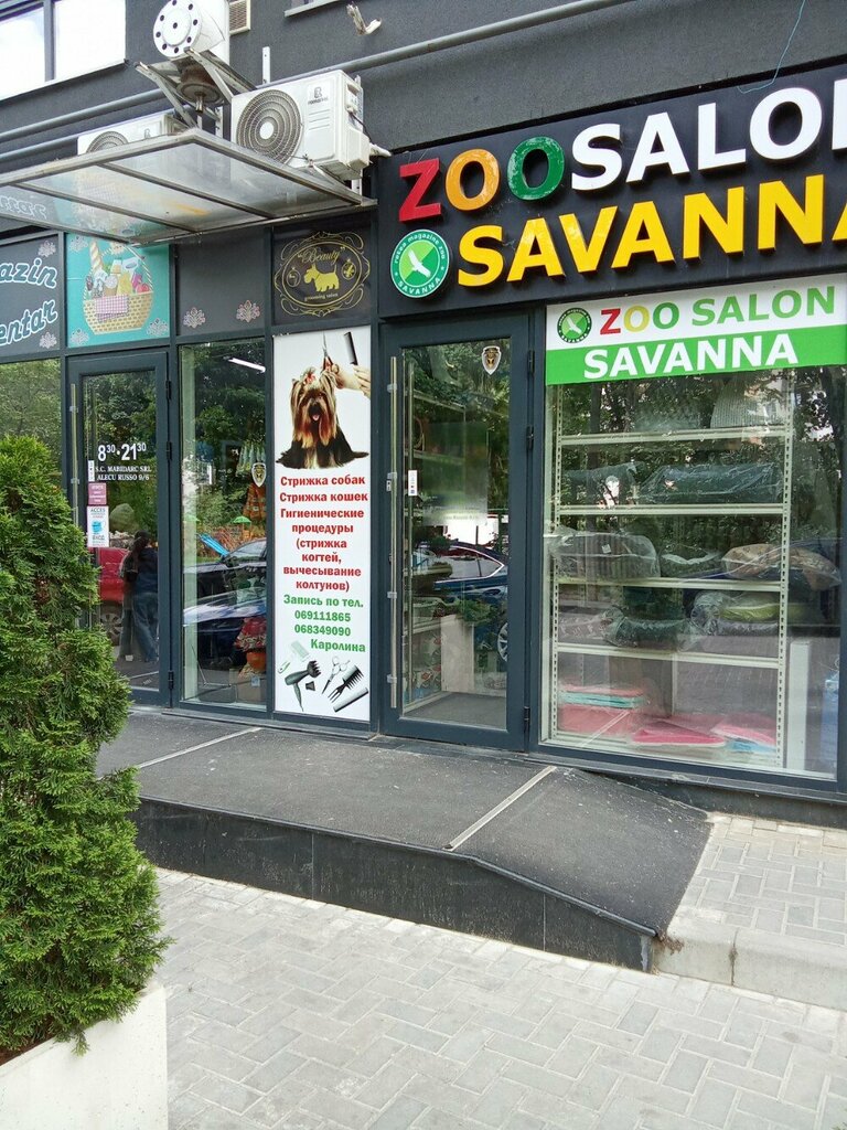 Petshop Savanna, Kişinev, foto