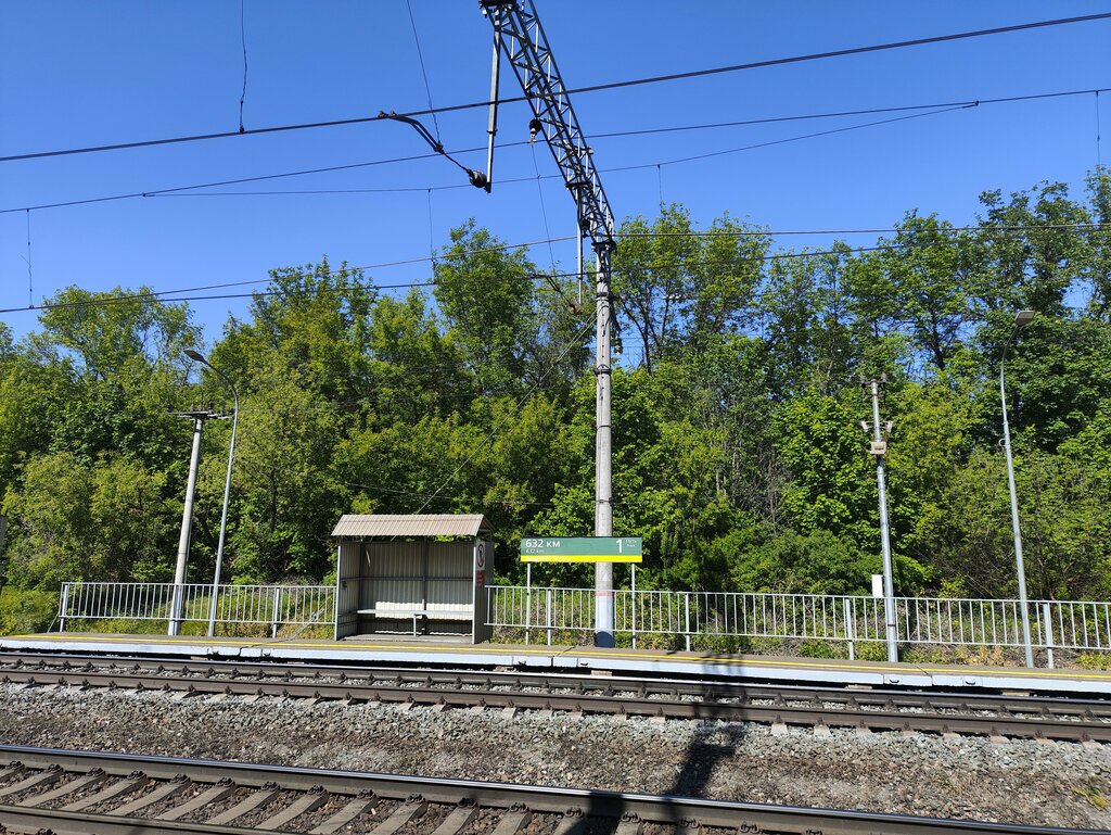 Tren istasyonu остановочный пункт Нечаевка, Mordovya, foto