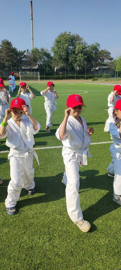 Spor okulları Federation Kyokushin-kan karate-do Republic Crimea, Kırım Cumhuriyeti, foto