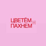 Cvetem & Pahnem (ulitsa Yana Poluyana No:43, Festivalny mikrorayon), çiçekçiler  Krasnodar'dan