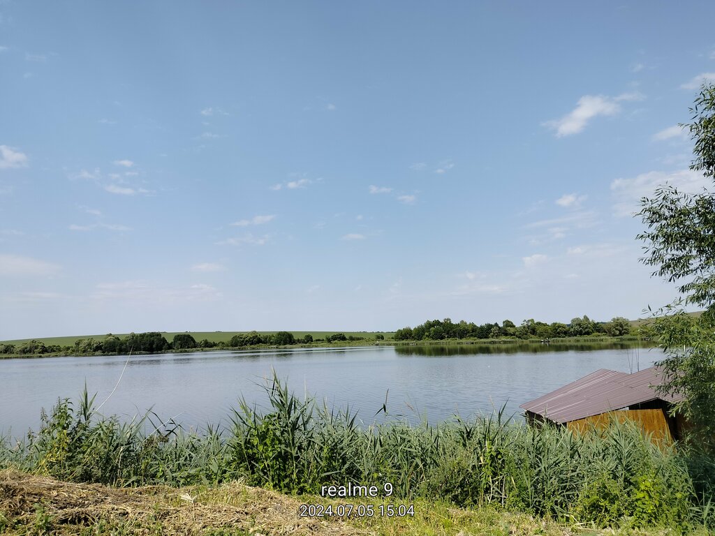 Balık çiftçiliği ve toptancıları Рыбное хозяйство, рыбоводство, Kurskaya oblastı, foto