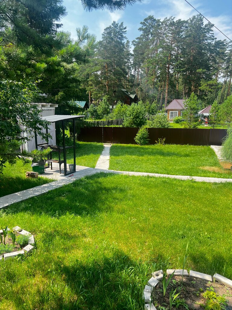 Resort oteller, tesisler Домик у леса, Altayski krayı, foto
