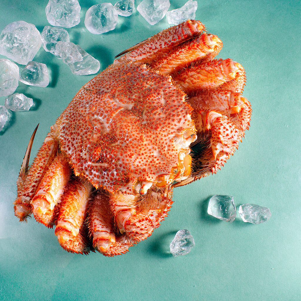 Balık ve deniz ürünleri Shef, Kraba, Kazan, foto