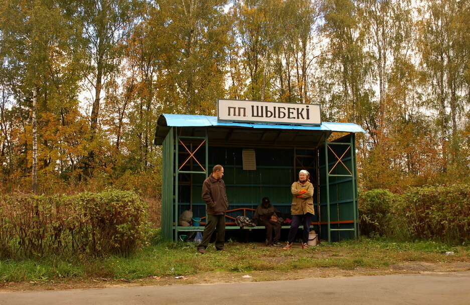 Bank Bench, Vitebskaya oblastı, foto